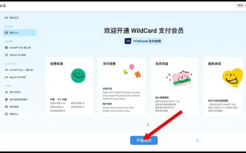 WildCard 虚拟信用卡终极指南：常见问题全面解答 | BBTDD博客