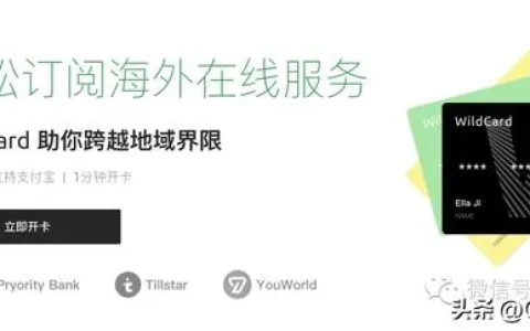 虚拟卡全面测评：WildCard、BinGoCard、PokePay、芥末卡哪款最适合你？ | BBTDD博客