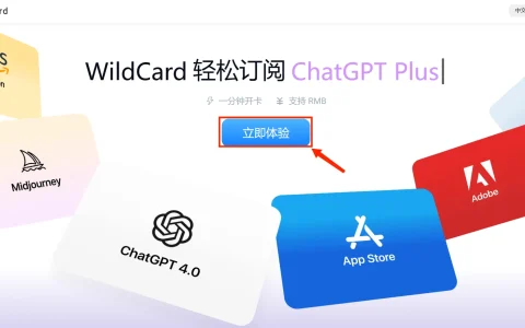 WildCard 虚拟信用卡终极指南：常见问题全面解答 | BBTDD博客