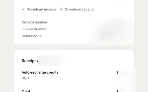 SubscribeStar 订阅与赞助全攻略：国内支付解决方案 | BBTDD博客