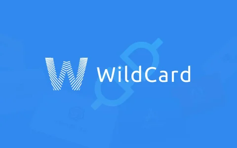 虚拟卡全面测评：WildCard、BinGoCard、PokePay、芥末卡哪款最适合你？ | BBTDD博客