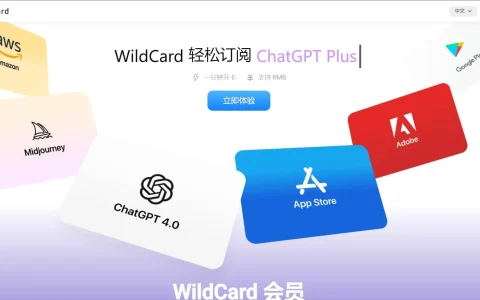 虚拟卡全面测评：WildCard、BinGoCard、PokePay、芥末卡哪款最适合你？ | BBTDD博客